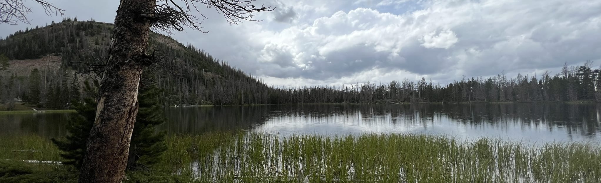 Lake Hessie via East Fork Smiths Fork and North Slope Highline A Trails ...