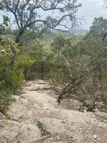 2023 Best Forest Trails in Shavano Park | AllTrails