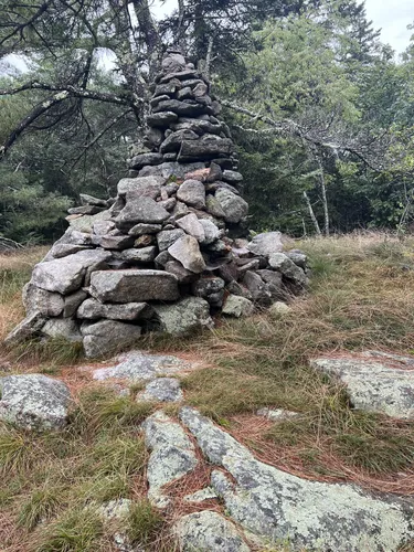 2023 Best Forest Trails in Center Strafford | AllTrails