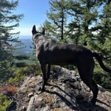 Mount June Trail, Oregon - 239 Reviews, Map | AllTrails