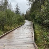 Portage Creek: Trail of Blue Ice, Alaska - 213 Reviews, Map | AllTrails