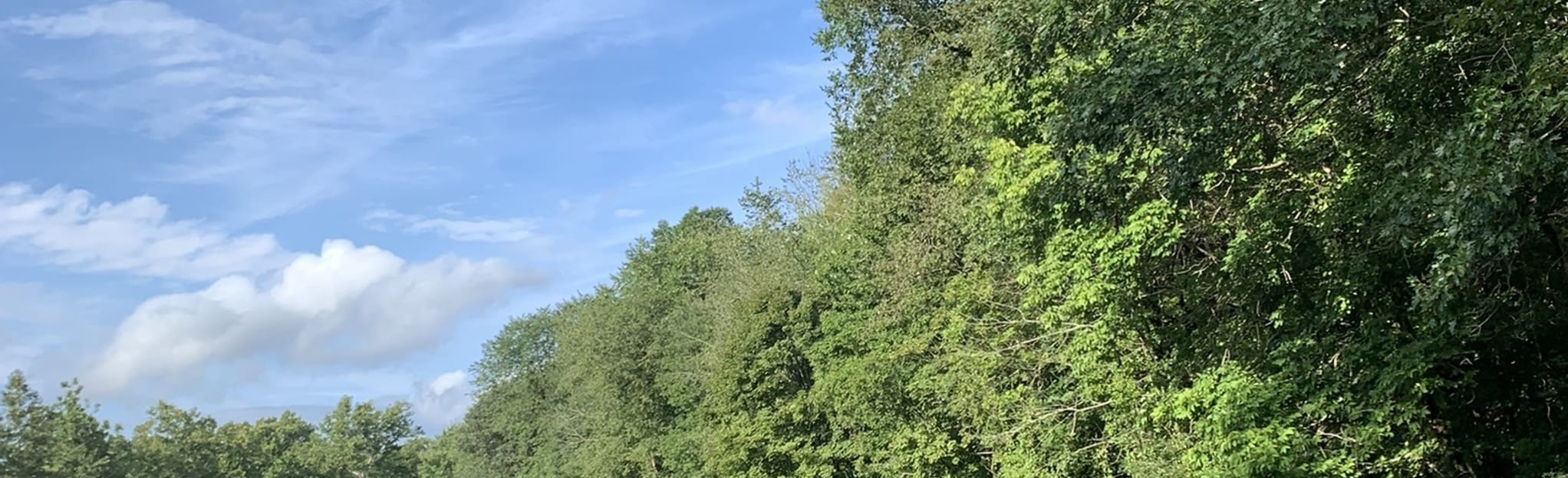 Nonnewaug Falls Trail, Connecticut - 362 Reviews, Map | AllTrails