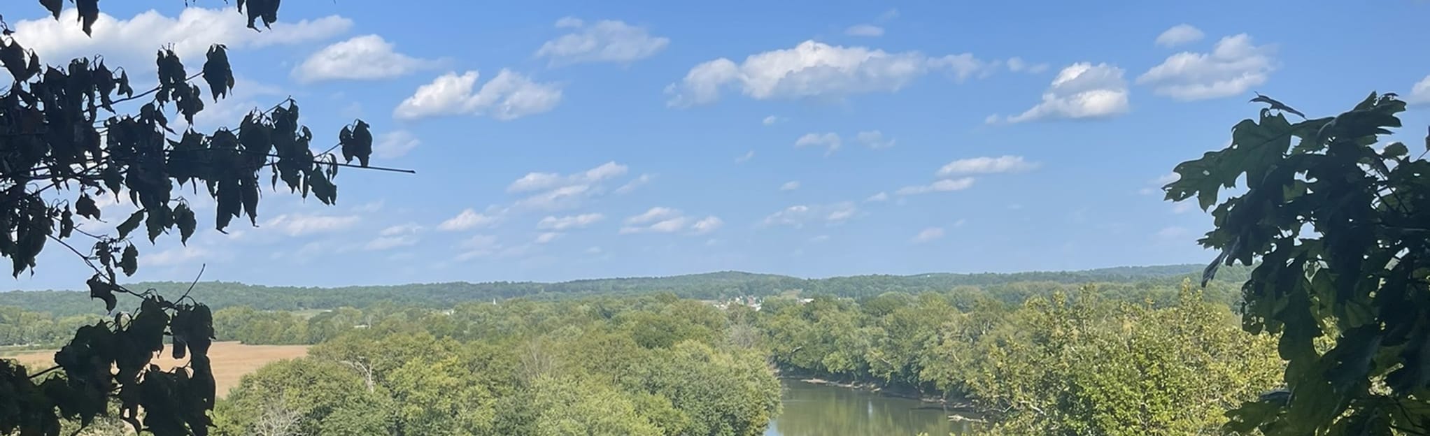 Nubbin Ridge Trail, Indiana - 337 Reviews, Map | AllTrails