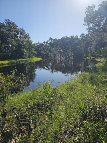 Best Lake Trails in Oviedo | AllTrails