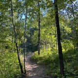 Lester River Trail and Amity East, Minnesota - 802 Reviews, Map | AllTrails
