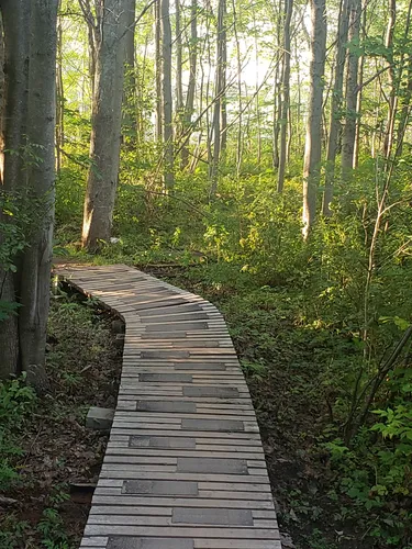 Best Hikes and Trails in Rotary St- Anselme Park | AllTrails