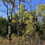 Big Hill Springs Trail, Alberta, Canada - 785 Reviews, Map | AllTrails