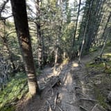 Big Hill Springs Trail, Alberta, Canada - 785 Reviews, Map | AllTrails