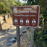 Verna Dunshee Trail and Plank Trail at Mount Tam East Peak, California ...