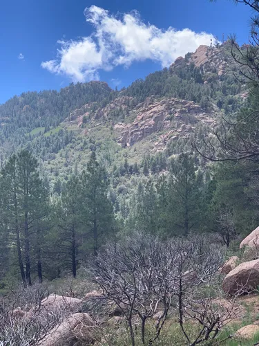Best Hikes and Trails in Hualapai Mountain Park | AllTrails