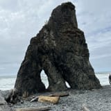 Ruby Beach, Washington - 1,349 Reviews, Map | AllTrails