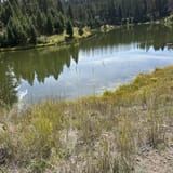 Beaver Ponds Loop Trail, Montana - 1,092 Reviews, Map | AllTrails