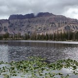 Ruth Lake Trail, Utah - 495 Reviews, Map | AllTrails
