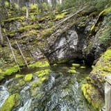 Karst Spring Trail, Alberta, Canada - 840 Reviews, Map | AllTrails