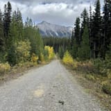 Karst Spring Trail, Alberta, Canada - 840 Reviews, Map | AllTrails