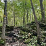 Trail Around Middlebury: Full Loop, Vermont - 97 Reviews, Map | AllTrails