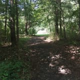 Lederer Park Loop, Pennsylvania - 41 Reviews, Map | AllTrails