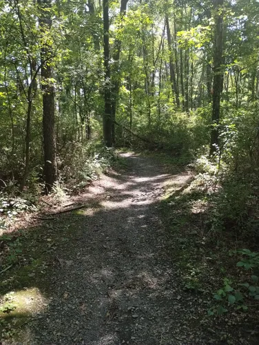 Best Hikes and Trails in Lederer Park | AllTrails