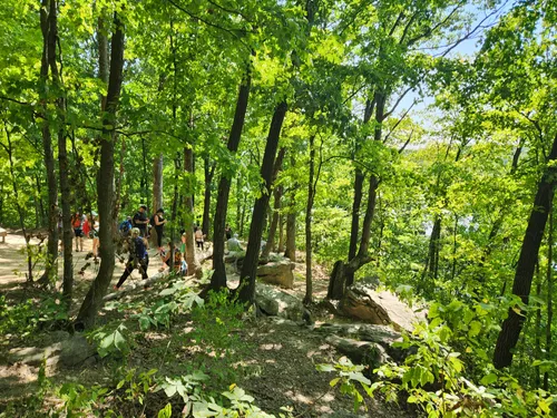 Best Hikes and Trails in Weldon Spring Conservation Area | AllTrails