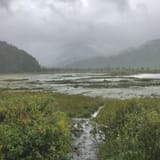 Hanging Spear Falls via Calamity Brook Trail, New York - 89 Reviews ...