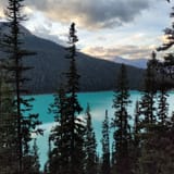 Fairview Lookout Loop, Alberta, Canada - 455 Reviews, Map | AllTrails
