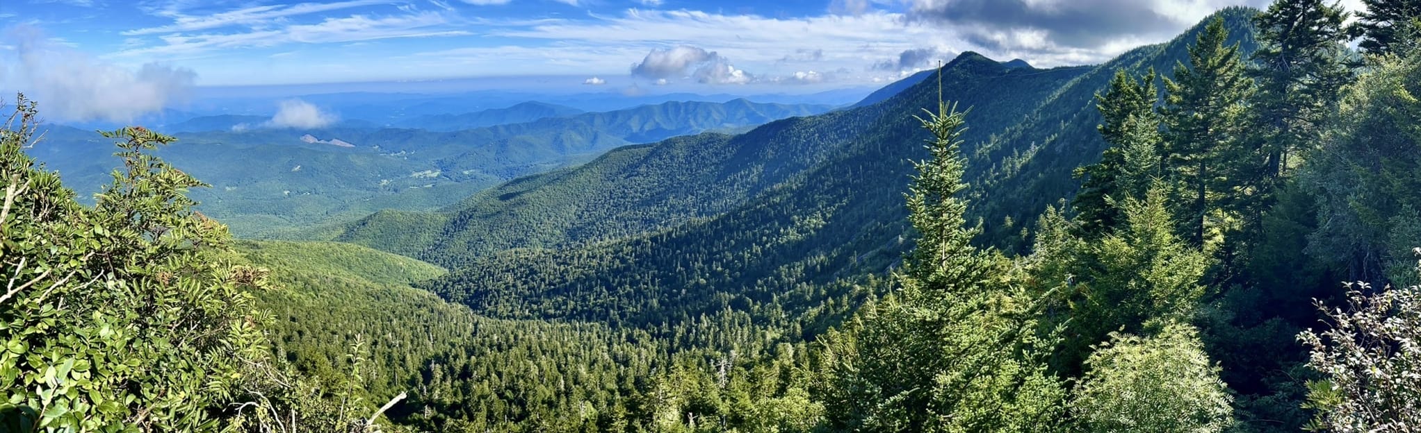 Deep Gap Trail, North Carolina - 712 Reviews, Map | AllTrails