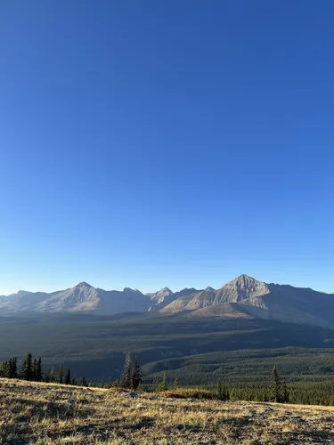 Best Hikes and Trails in Cardinal Divide Natural Area | AllTrails