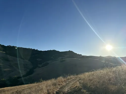 Best Hikes and Trails in Johnson Ranch Open Space | AllTrails