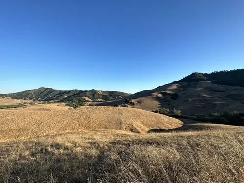 Best Hikes and Trails in Johnson Ranch Open Space | AllTrails