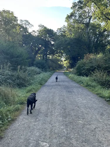 Best Hikes and Trails in Bookham Commons | AllTrails