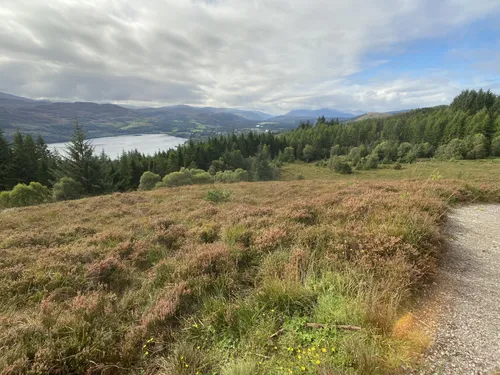 10 Best Trails, Walks, and Paths in Inverness | AllTrails