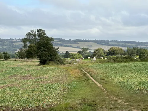 10 Best Hikes and Trails in Kent Downs National Landscape (AONB ...