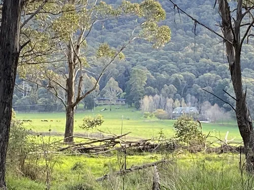 Best Hikes and Trails in Smoko Streamside Reserve | AllTrails