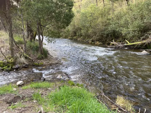 Best Hikes and Trails in Smoko Streamside Reserve | AllTrails