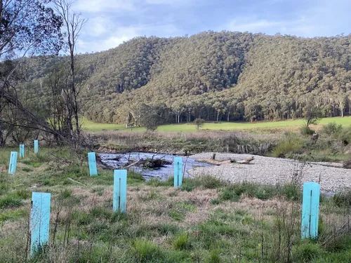 Best Hikes and Trails in Smoko Streamside Reserve | AllTrails