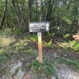Hoye Crest (Backbone Mountain), West Virginia - 557 Reviews, Map ...