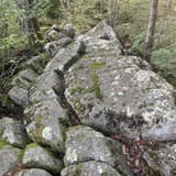 Hoye Crest (Backbone Mountain), West Virginia - 557 Reviews, Map ...