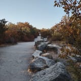 Mount Bonnell Trail, Texas - 898 Reviews, Map | AllTrails