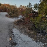 Mount Bonnell Trail, Texas - 898 Reviews, Map | AllTrails