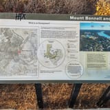 Mount Bonnell Trail, Texas - 926 Reviews, Map | AllTrails
