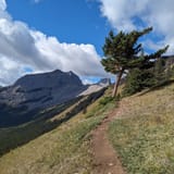 Wind Ridge Trail, Alberta, Canada - 1,138 Reviews, Map | AllTrails