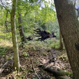 Boston Lot Lake, New Hampshire - 728 Reviews, Map | AllTrails