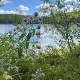 Boston Lot Lake, New Hampshire - 728 Reviews, Map | AllTrails