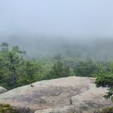 Copple Crown Mountain, New Hampshire - 574 Reviews, Map | AllTrails