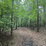 Settles Bridge Park Extended Loop Trail, Georgia - 1,572 Reviews, Map ...