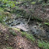 Settles Bridge Park Extended Loop Trail, Georgia - 1,572 Reviews, Map ...