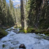 Karst Spring Trail, Alberta, Canada - 836 Reviews, Map | AllTrails