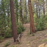 Viola Falls, California - 271 Reviews, Map | AllTrails