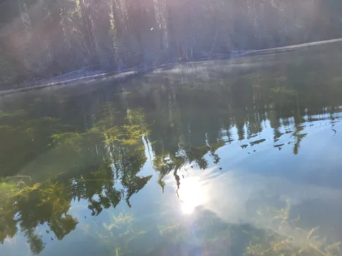 Best Hikes and Trails in Nancy Greene Provincial Park | AllTrails