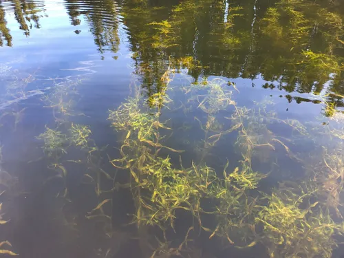 Nancy Greene Provincial Park: de beste routes om te wandelen | AllTrails